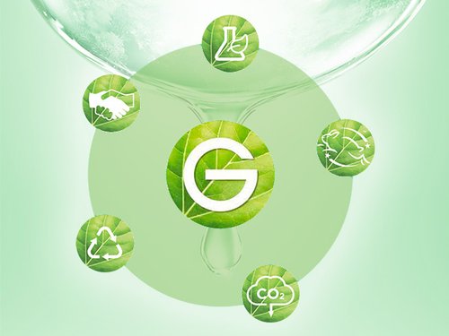 Hair and Skin Care Ingredients - Beauty Tips & How-Tos - Garnier