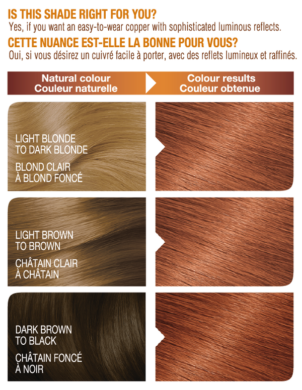 Belle Color - 646 Light Brown Copper Red Hair Dye - Garnier CA
