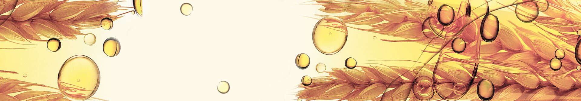 Belle Color Hair Colour - Try a New Color Online - Garnier