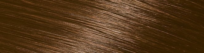 530 Medium Maple Brown | Garnier Belle Color